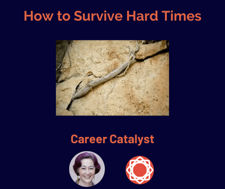 How to Survive Hard Times - Denver Career Catalyst